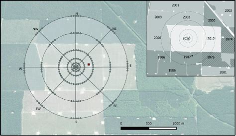 Map Of The Plantation Forest Where Mark Release Recapture Experiments