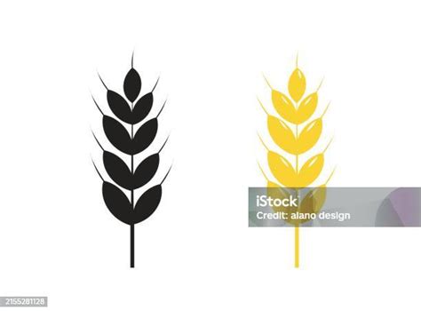 쌀 아이콘입니다 밀 호밀 쌀 귀 보리 밭 시리얼 영양가 밀 곡물 벡터 일러스트 레이 션 벡터에 대한 스톡 벡터 아트 및 기타