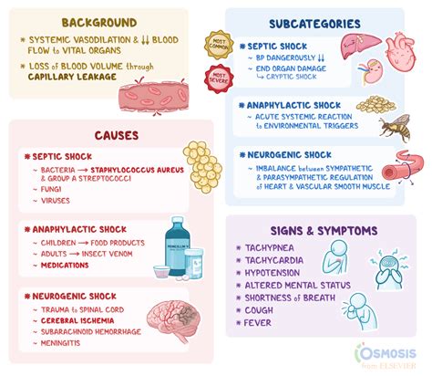 Distributive Shock What Is It Signs Treatment And More Osmosis
