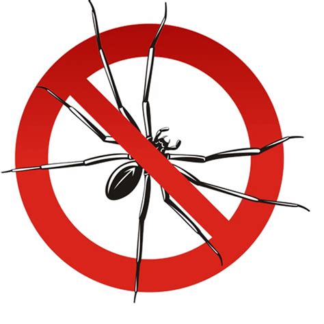 Spider Pest Control In Bengaluru Id 2855557996155