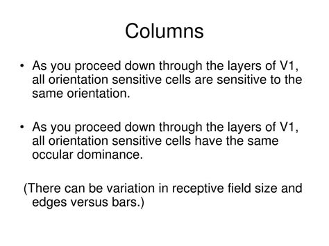 Ppt Visual Cortex Powerpoint Presentation Free Download Id365241