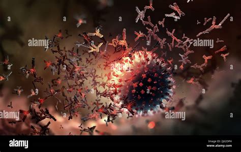 Vaccine Antibody Production Virus Under Microscope Antibodies And