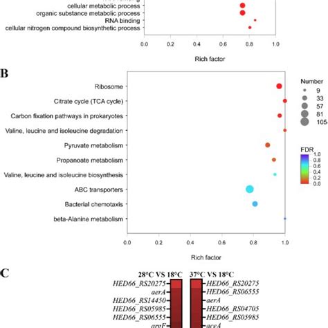 Evaluation Of Sample Variance A Heatmap Showing The Sample To Sample
