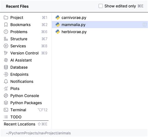 Open Files In The Editor PyCharm Documentation