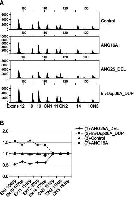 Mlpa Analysis Performed Using A Kit Developed In Our Laboratory Download Scientific Diagram
