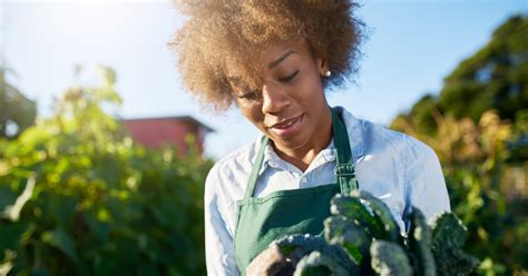 Usda Program Pumps 263 Million Toward Training New Diverse Agriculture Professionals Careers