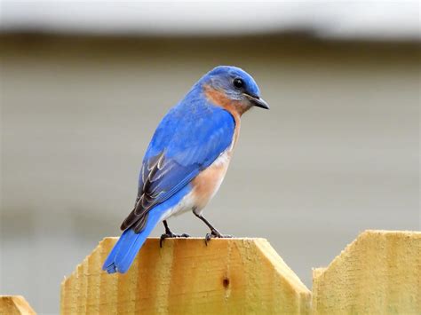 Gpt 4 Demos And Examples That Will Leave You Speechless Includes