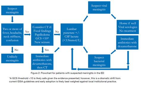 Meningitis In The Ed Patient Emottawa Blog