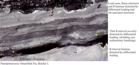 Sedimentary Structures Turbidites Geological Digressions