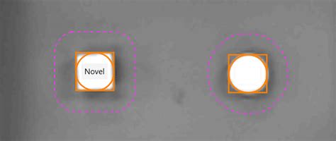 Setting Up A Novel Object Recognition Experiment In Any Maze Part 2 Any Maze