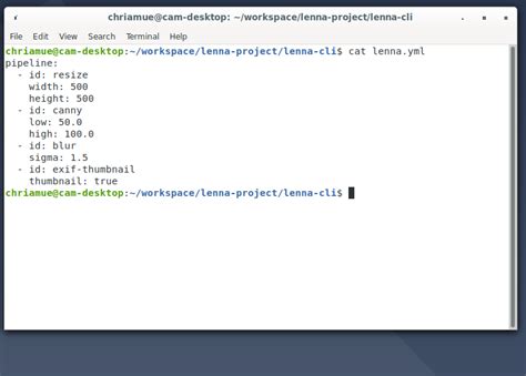 Install Lenna Cli On Linux Snap Store
