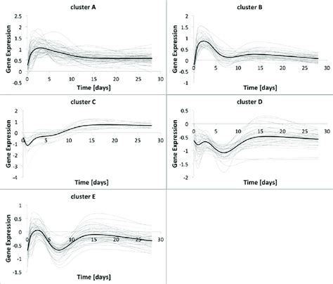 Genes Dynamic Retrieved From Microarray Probe For The Five Significant