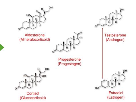 Biochemistry Free For All Ppt Download