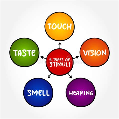 The 5 Types Of External Stimuli Divided Into Our Senses Touch Vision Smell And Taste Mind