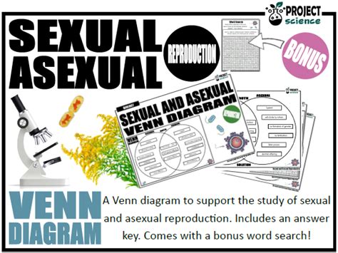 Sexual And Asexual Reproduction Venn Diagram Teaching Resources