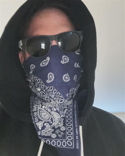 Steve The Squirrel Stevesquirrelworld • Instagram Photos And Videos