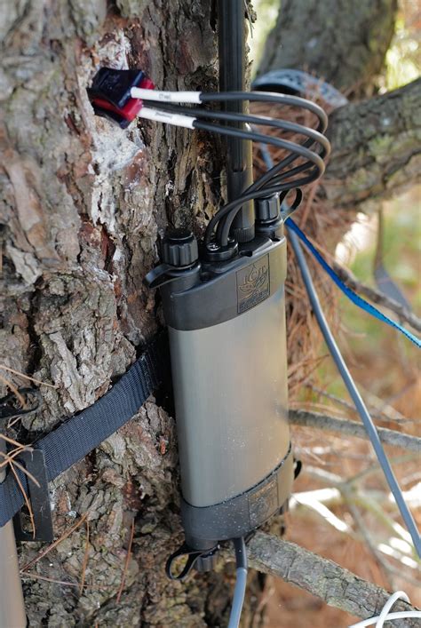 Sap Flow Meter Price At Richard Colon Blog