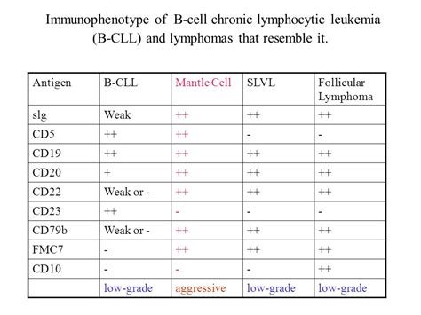 Genetic Toxicity And Cancer Ppt Video Online Download