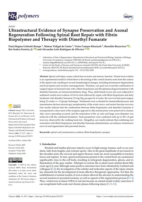 Pdf Ultrastructural Evidence Of Synapse Preservation And Axonal Regeneration Following Spinal