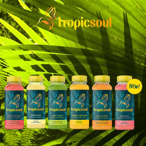 Daniel Stankovic Stankovicdaniel Twitter