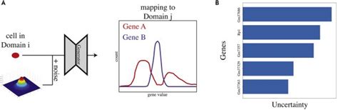 Single Cell Multi Modal Gan Reveals Spatial Patterns In Single Cell Data From Triple Negative