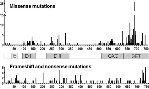 ezh2 mutations from cosmic selected for non lymphoid hematopoietic