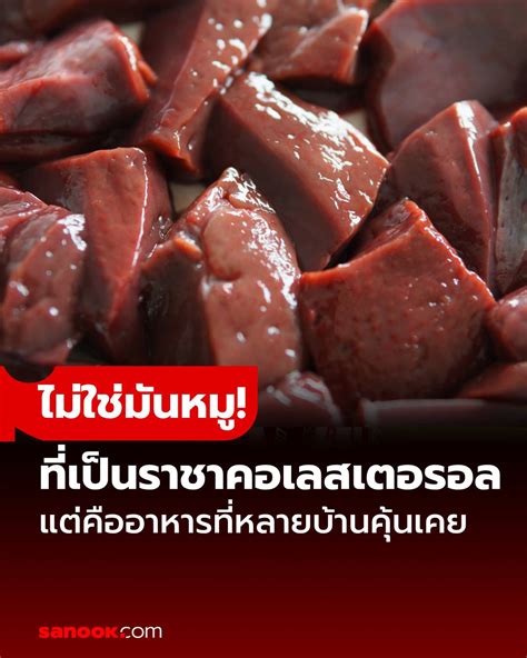 Sanook ไม่ใช่มันหมู ราชาคอเลสเตอรอล อาหารที่หลายบ้านคุ้นเคย แต่ไม่ใช่ทุกคนที่รู้ อ่านต่อใน