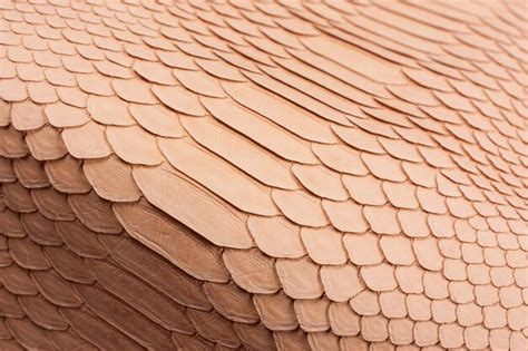 Premium Photo Full Frame Shot Of Roof Tiles Python Skin Background