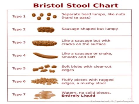 Routine Examination Of Stool