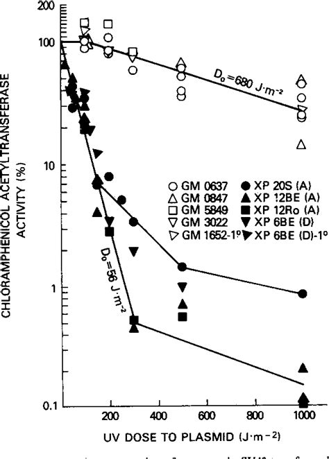 Figure 2 From One Pyrimidine Dimer Inactivates Expression Of A Transfected Gene In Xeroderma