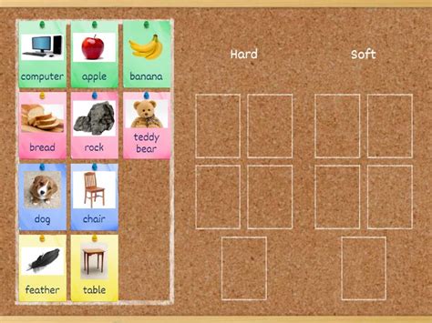 Hard Or Soft Objects Group Sort Hard Or Soft Objects Group Sort