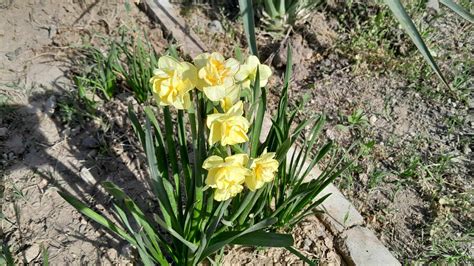 Слънчев и топъл ден ще е днес Новини от информационна агенция E 79