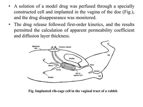 Diffusion Principles In Biological System Pdf