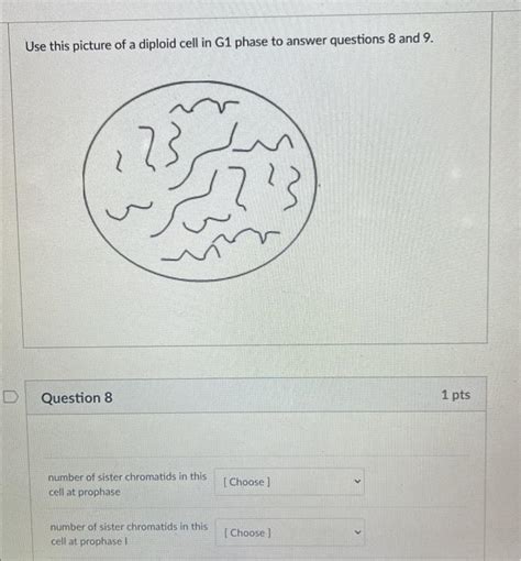 Solved Sex Chromosome Trisomy Chromosomal Deletion