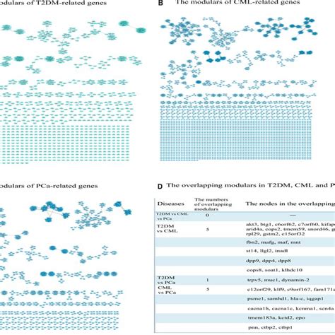 The Modules Of Disease‐related Genes In T2dm Cml And Pca A The