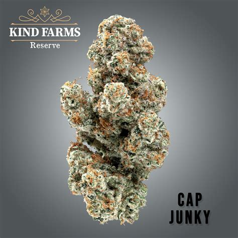 Cap Junky Cronja At Cynthia Connor Blog