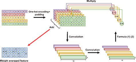 Figure 5 From Robust Multi Read Reconstruction From Contaminated Clusters Using Deep Neural
