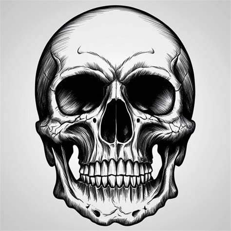 Hand Drawn Black Skull Illustration Isolated On White Background