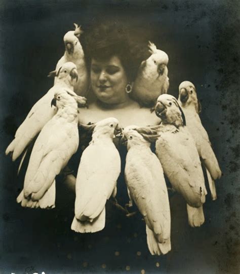 Five Hundred Pound Peep: Peeps Want to Take Over the World