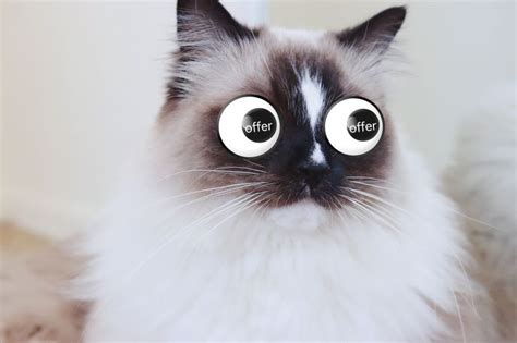 Opentowork Data Dataanalytics Dataengineering Datascientist Productanalytics Lianghao T