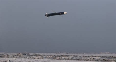 Умард Солонгос далавчит пуужингууд харважээ Мэдээ мэдээлэл Монголын иргэн бүрд ажлын байр