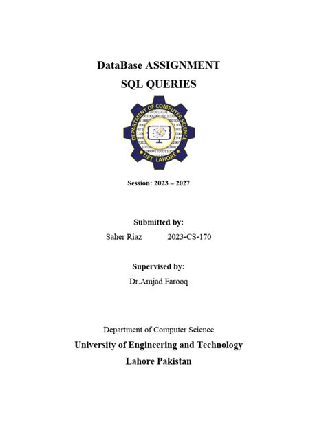 DataBase Assignment | PDF | Information Technology Management | Computing