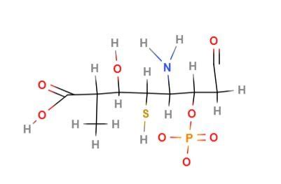 AP Bio Functional Groups Diagram Quizlet