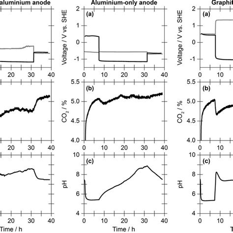 Comparison Of The Performance Of Electrochemical Cells Containing