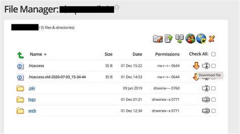 download website files from file manager r webdev