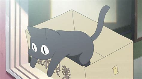 Anime Cat 