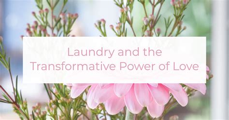 Laundry And The Transformative Power Of Love Louise Morris