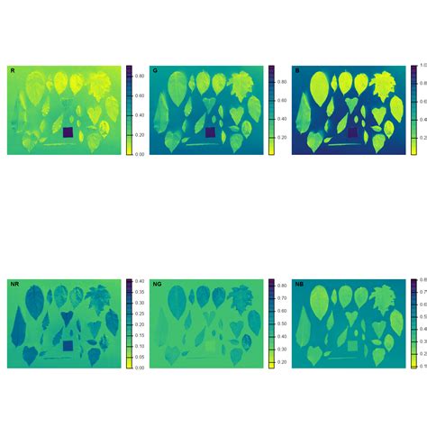 Measure Leaf Area Using Leaf Images • Pliman