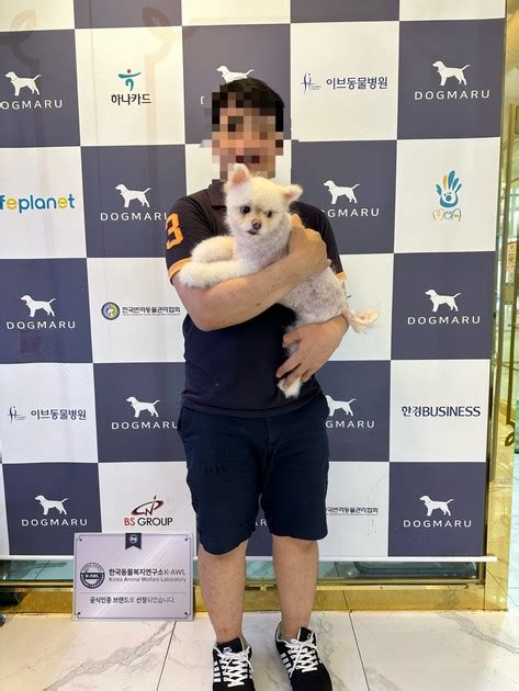 포메라니안 봄이 보스턴테리어 핏불테리어 허스키 테리어종류 꼬똥 차오차오 아프간하운드 Cat 강아지분리불안 털안빠지는강아지 귀여운강아지 강아지종 사바나캣 믹스견 잭러셀테리어