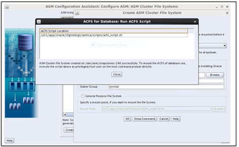 How To Implement Oracle Database 12c Snapshotclones Using Acfs Asm Cluster Filesystem Dell Us